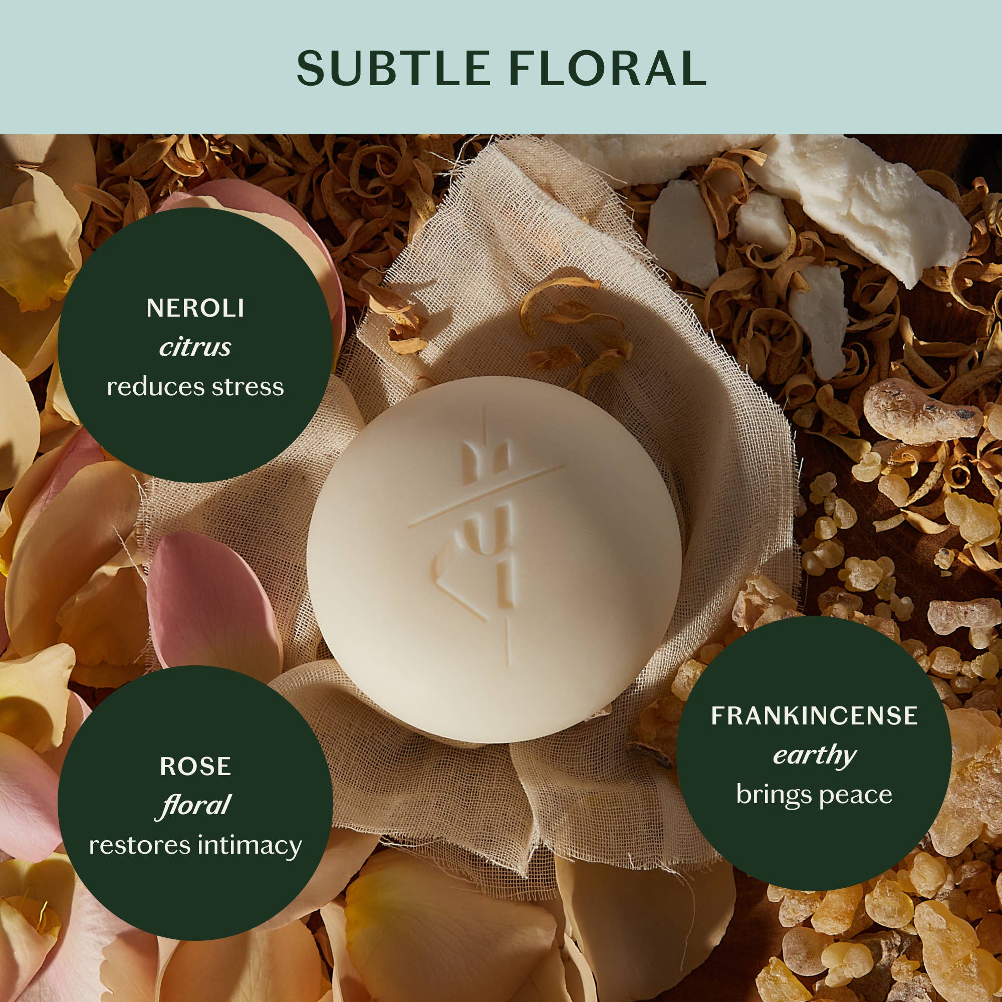 Daily Stone | Deep Moisturizing Lotion Bar - Box Turtle