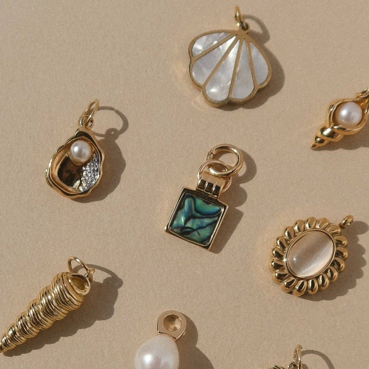 Box Turtle - Delta Oyster Charm