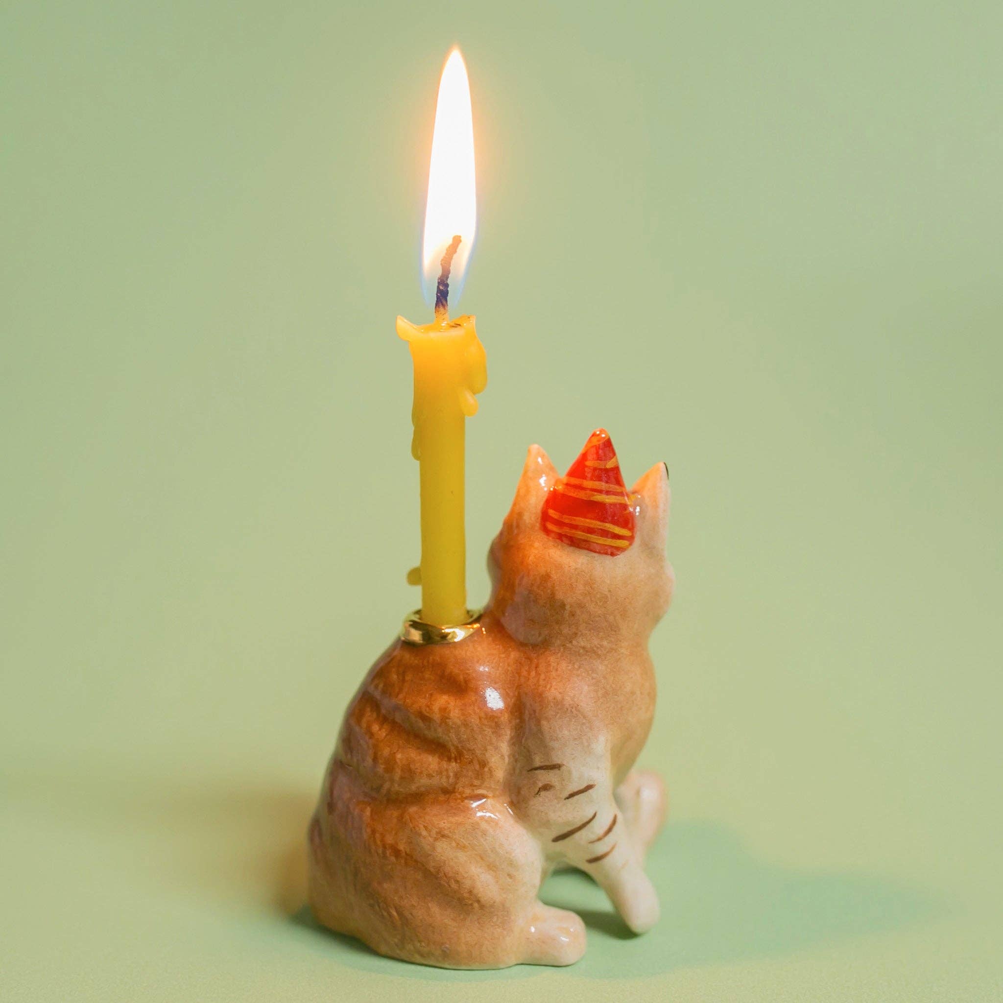 Box Turtle - Maine Coon Cat Cake Topper