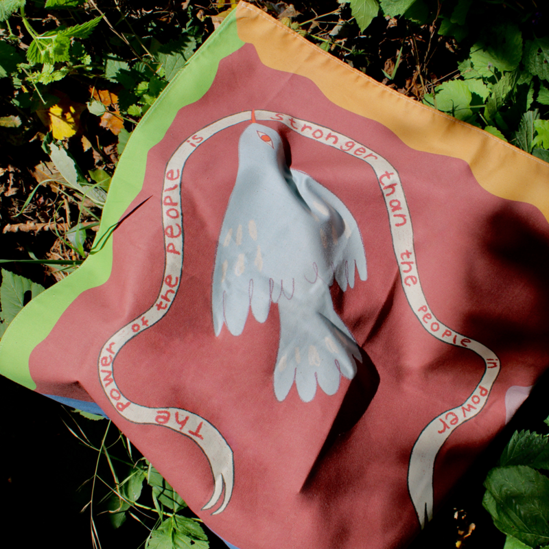 ACCESSORIES - Box Turtle